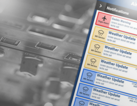 OpsControl | Flight Watch